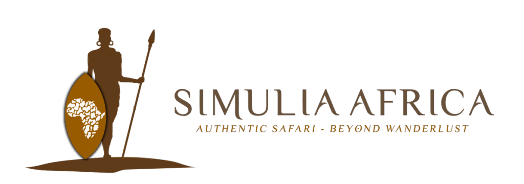 About Us - Simulia Africa